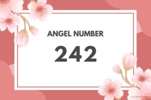 Meaning of Angel Number 242 Explained by Joanne – Sacred Scribes