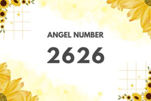 Meaning of Angel Number 2626 Explained by Joanne – Sacred Scribes