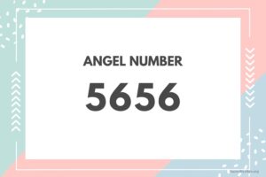 Meaning of Angel Number 5656 Explained by Joanne – Sacred Scribes