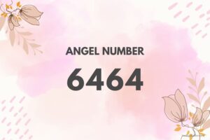 Meaning of Angel Number 6464 Explained by Joanne – Sacred Scribes