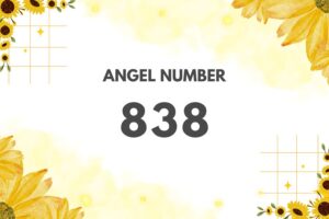Meaning of Angel Number 838 Explained by Joanne – Sacred Scribes